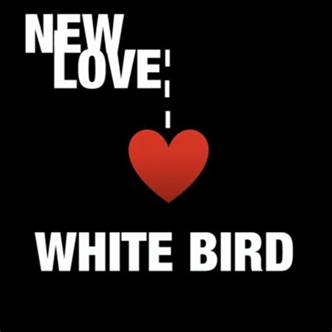 New Love Youtube Music