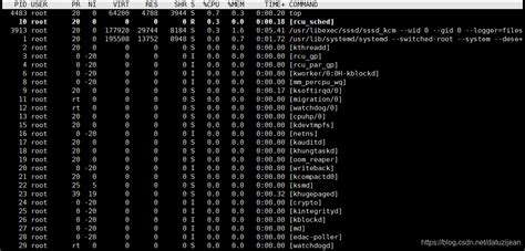 linux查看进程文件绝对路径 linux系统怎样查看文件的绝对路径 csdn博客