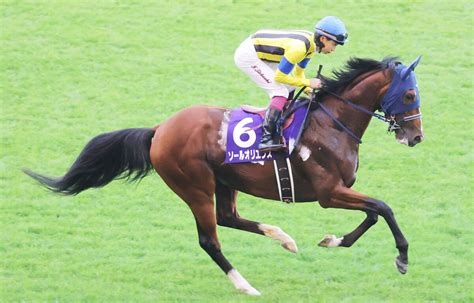 【注目馬動向】天皇賞・秋7着のソールオリエンスはジャパンcへ Umatoku 馬トク