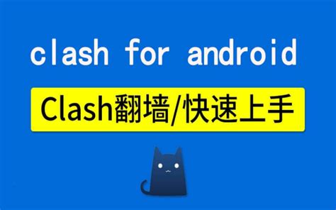 分类：clash安卓教程 小火箭节点购买