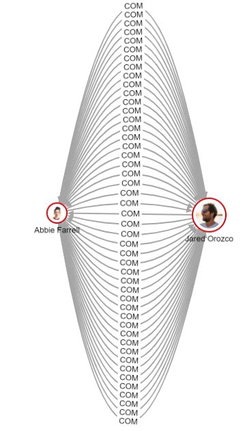 The Ultimate Advantage Of Graphlytic In The Parallel Relationships