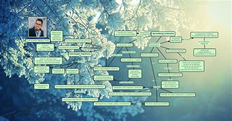 Mapa Conceptual Aprendizaje Autónomo Y Estrategias Cognitivas