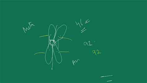 Mitotic Anaphase Differs From Metaphase In Possessing Filo