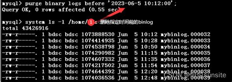 mysql之binlog日志浅析 csdn博客