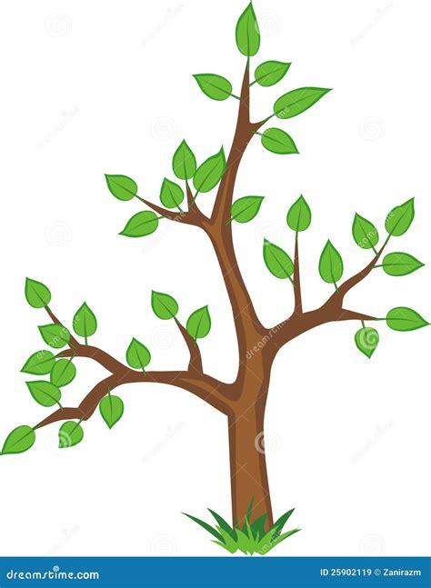 A Young Tree With Green Leaves On A White Backgrou Stock Vector