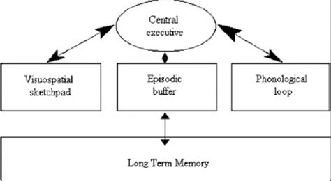 Psyc 1000 Midterm 2 Ch7 Flashcards Quizlet
