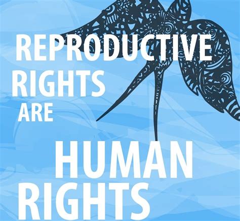 Reproductive Justice The Birth Of An Intersection Janes Due Process