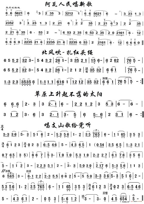 葫芦丝 练习曲03 歌曲4首 葫芦丝谱 简谱