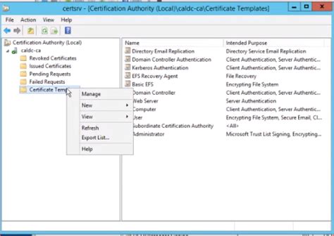 How To Create A Microsoft Certificate Authority Template For Ssl Certificate Creation In Vsphere