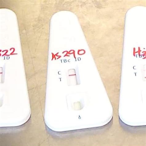 Sample Results For Immunochromatography Showing Negative Results For Download Scientific