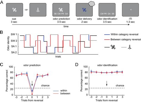 Sensory Prediction Errors In The Human Midbrain Signal Identity Violations Independent Of