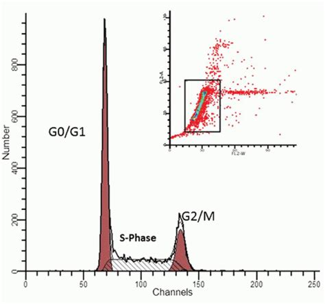 Clinical Flow Cytometry Oncohema Key