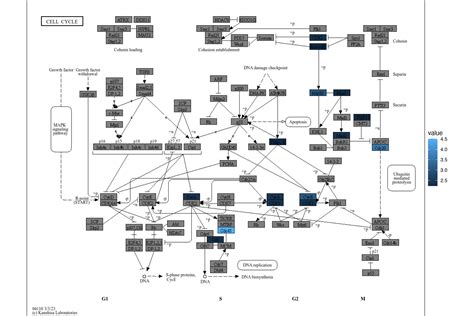 Chapter 2 Pathway Ggkegg