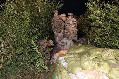 Dardas Mn ЗЭВСЭГТ ХҮЧНИЙ 100 ГАРУЙ АЛБА ХААГЧ СЭЛБЭ