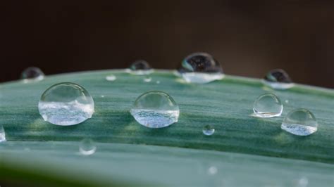 Капли дождя · 1920x1080 Full Hd бесплатная фотография от Denisark картинки и обои на рабочий стол