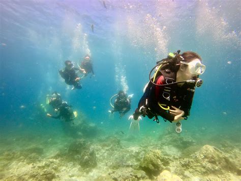 綠島潛水｜考padi Ow水肺證照、體驗潛水旅宿推薦：海子ocean Rover Triztravel