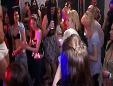 Tainster Tube Search Videos