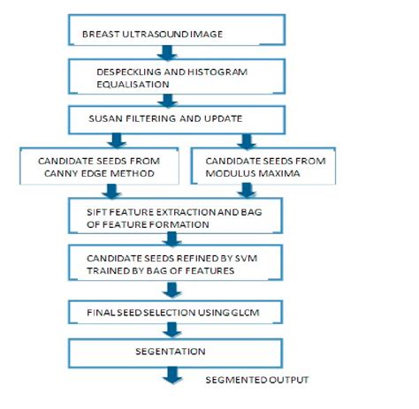 Block Diagram Of The Proposed Method For Tumor Segmentation Download