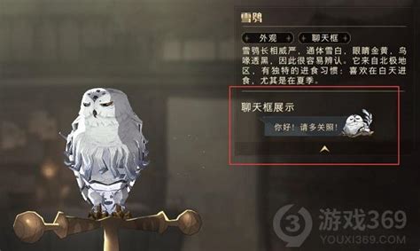 哈利波特魔法觉醒猫头鹰作用介绍 哈利波特魔法觉醒猫头鹰有什么作用 游戏369