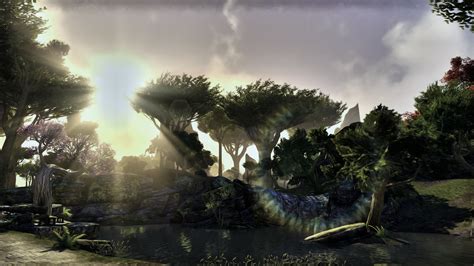 eso 벽지 액션 어드벤처 게임 자연 pc 게임 하늘 나무 933574 WallpaperUse