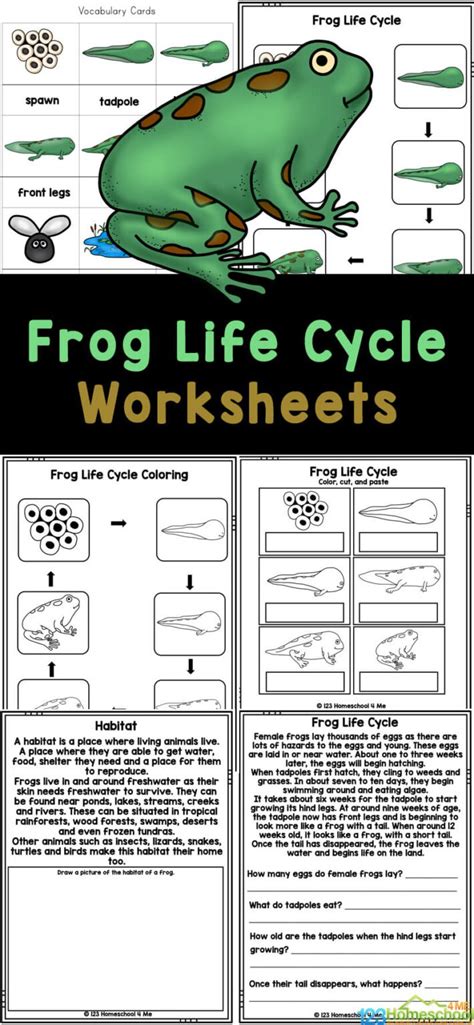 Spring Sequencing Worksheets For Preschoolers Free Printables