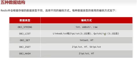 redis自学7RedisObject 蓝海的bug本 博客园