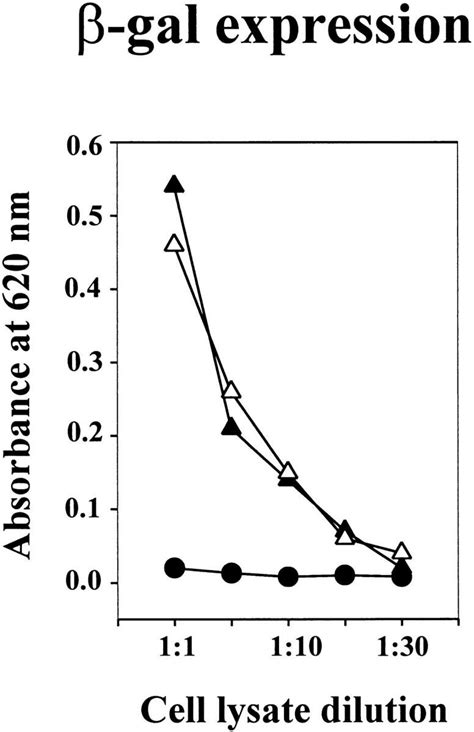 Determination Of β Gal Expression In Rgal And Rsgal Transfectants