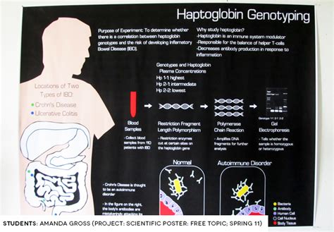 Design Portfolio Of Gabriela Hernandez Visualizing Science