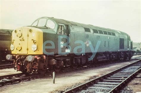 Uk Railway Photograph Of Class 40 Locomotive D257 Rm40 185 £170