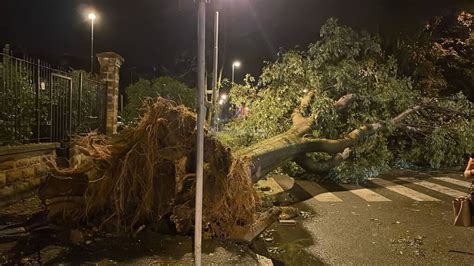 Monza Nubifragio Devastante Tetti Scoperchiati Alberi Crollati E