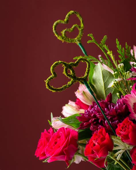 Supermoss Heart Moss Picks Set Of 3