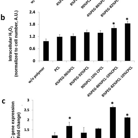 Schematic Representation Of Polymer Synthesis Peg Pcl Block Copolymers