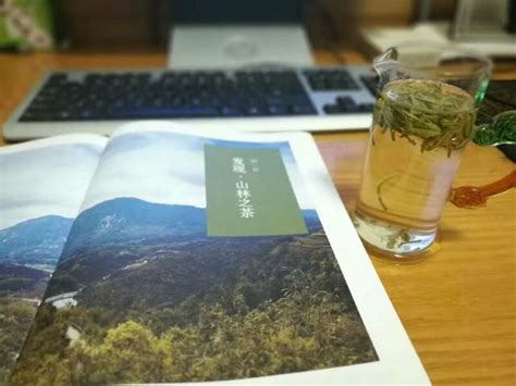為你翻書中國白茶 每日頭條