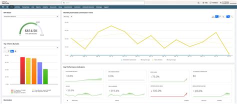 Netsuite Applications Suite Dashboards
