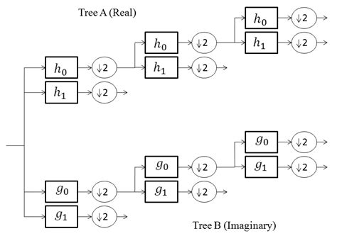 1 D Dt Dwt 3 Level Decomposition Filter Bank Tree Download Scientific