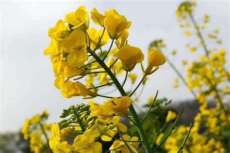 接下来的31天有3大星座的贵人运势能够好上加好幸运连连 朋友 生活 财运