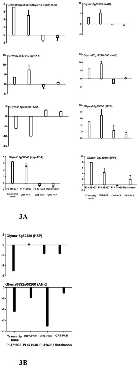 Validation Of Transcriptome Data With Qrt Pcr Genes For The Validation