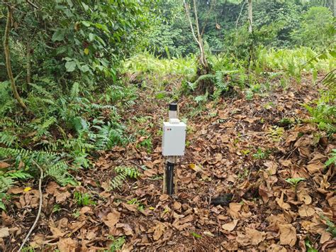 Validation Of Remote Sensing Groundwater Level For Nature Conservation Sumatra Indonesia