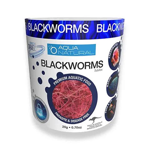 Aqua Natural Freeze Dried Blackworms 20g The Tech Den