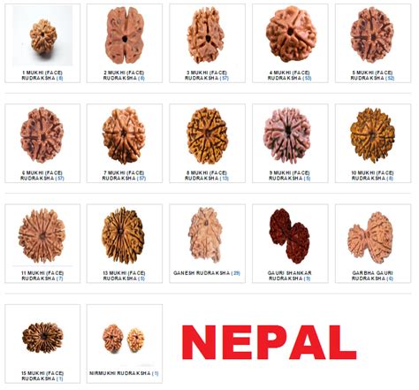 Different Types Of Rudraksha Beads And Their Benefits Artofit
