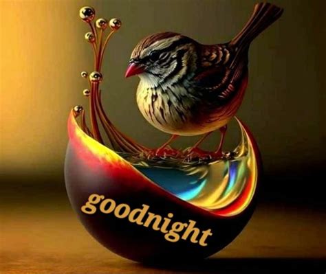 Goodnight Quotes To Inspire Sweet Dreams