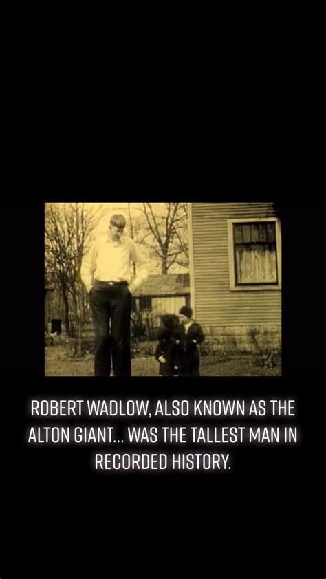 Robert Wadlow Coffin