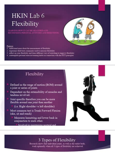 Lab 6 Presentation Flexibility Download Free Pdf Flexibility Anatomy Physical Exercise