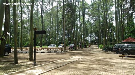 Indahnya Situ Cisanti Bandung Yang Masih Alami OK Bgt Deh