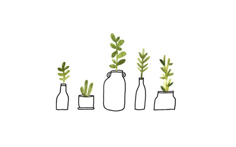 Minimalist Plant Desktop Wallpapers Top Free Minimalist Plant Desktop