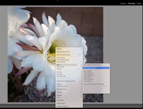 Crash When Image Is Re Imported Back Into Lightroom Classic Macos
