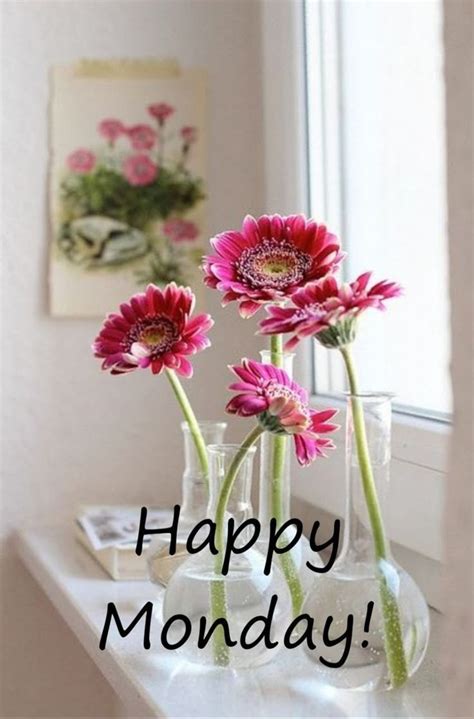 Pin By Bonnie Barowy On Good Morning Quotes Good Morning Flowers