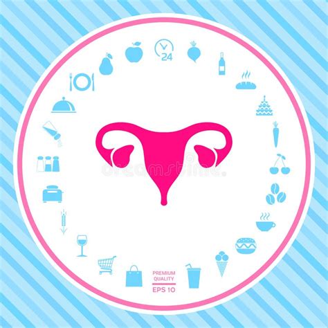 Human Organs Female Uterus Icon Stock Vector Illustration Of