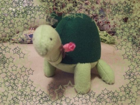 turtle tutorial 15 steps with pictures instructables