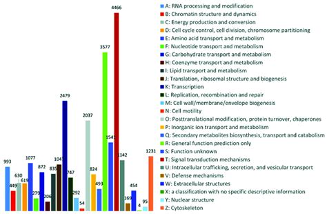 Histogram Presentation Of Clusters Of Orthologous Groups Cog